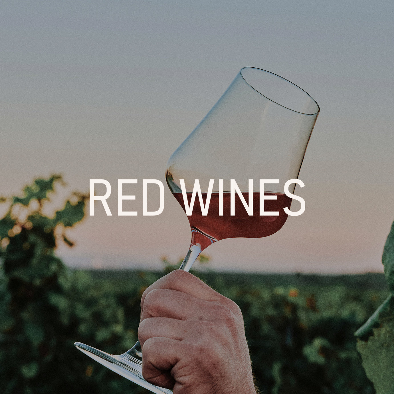 Wine Online Retailer in Sydney – Mosman Cellars